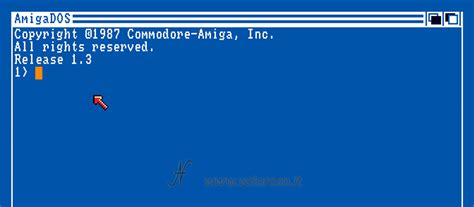 Amiga 2000 Amedeo Valoroso
