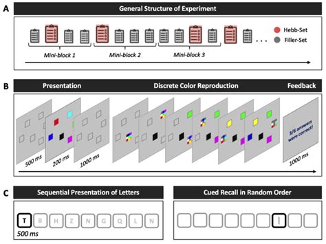 overview of the experimental design a general structure of the hebb