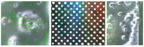 Three Examples Of The Grids After The Hit Finding The Squares Are The Download Scientific