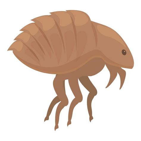 Images De Poux Illustration Téléchargement Gratuit Sur Freepik