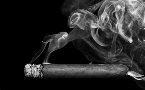 Tinder Box Cigars Cigar Lounge Charlotte NC