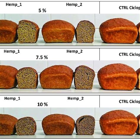 Bread Obtained With The Experimental Bread Making T Download Scientific Diagram