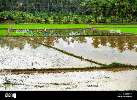 Natural Beauty In Kerala Tourism God S Own Land Kerala Tourist Attraction Of Beautiful