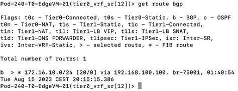 Bgp Evpn Between Nsx And Vyos Part 2