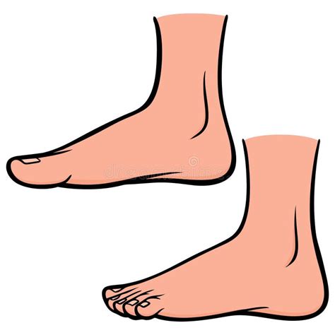 Foot Lateral Medial View Inside Outside Profile Stock Vector