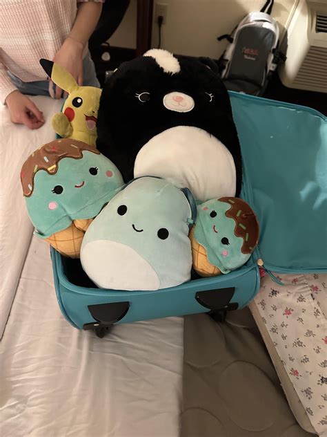 My Daughters Suitcase For An Over Night Trip Rsquishmallow