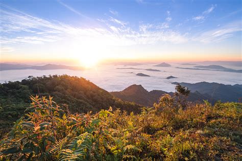 푸 치 파와 푸 치 다오 치앙 라이와 치앙마이 자연 경관의 경치 태국 북부의 아름다운 일출 0명에 대한 스톡 사진 및 기타