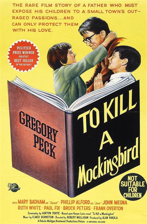 To Kill A Mockingbird An Overview Old Point