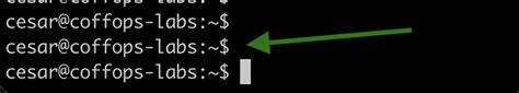 Como Alterar O Prompt De Comando Do Terminal Linux Coffops
