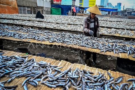 Sinergi Pelaku Usaha Perikanan Tingkatkan Pnbp Antara Foto