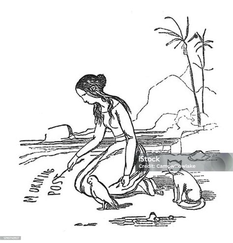 영국 풍자 만화 캐리커처 일러스트레이션 모래에 아침 포스트를 쓰는 고양이와 함께 해변에 앉아있는 여성 19세기에 대한 스톡 벡터 아트 및 기타 이미지 Istock