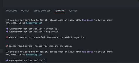 Vscode Insiders Integration Not Working Checked With Fig Doctor No