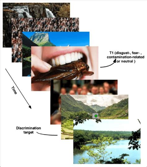 The Emotional Attentional Blink Task With Distracting Stimuli And The Download Scientific
