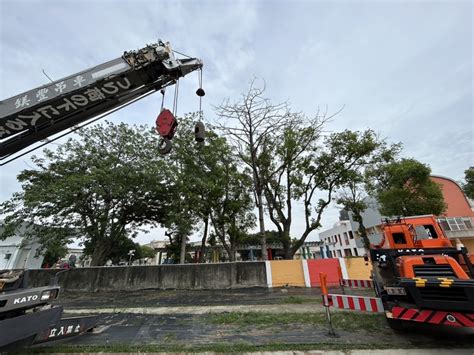 虎尾國小樹木修整 永勝興企業社 樹木修剪雲林樹木修剪提供您優惠的價格砍樹除草整地園藝樹木修剪公司