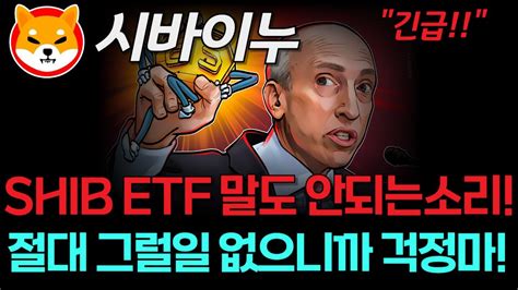 Shib Etf Youtube