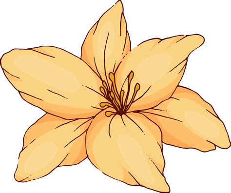 Hand Draw Sketch Flower And Leaf 10791624 Png