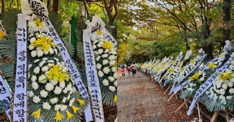 시의원 자녀 학폭 근조화환 시위… 학부모 분당 떠나라