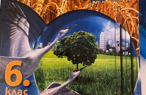 Учебник за 6 клас Понякога са необходими време и опит за да може младият човек да определи