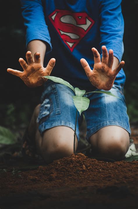 Rooted Benefits The Transformative Power Of Tree Planting