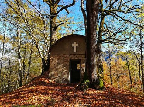 ჟოშხის წმინდა გიორგი ამბროლაურის რაჭა და რაჭველები
