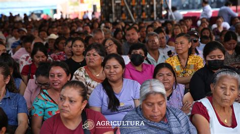 Entrega De Fertilizantes Estado De Guerrero Secretaría De