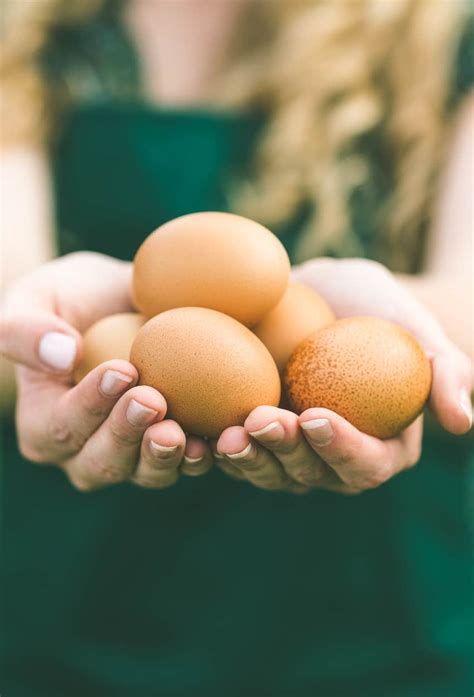 U S Places Offer Monthly Free Eggs As A Relocation Incentive Yourtango