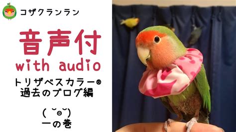 Youtubeチャンネル開設 使用例紹介 コザクランラン のブログ