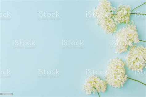 색상 배경에 흰색 꽃의 플랫 평신도 프레임 복사 공간이 있는 웨딩 뷰 상단 보기 결혼식에 대한 스톡 사진 및 기타 이미지