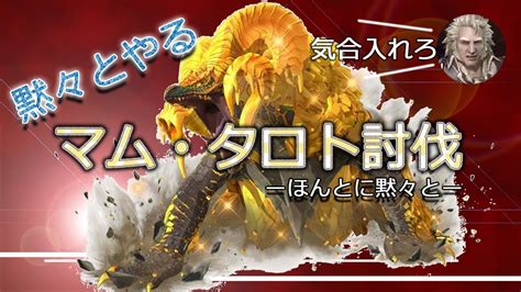 MHIB黙々とマムタロトを狩ってみた YouTube