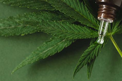 Cannabis Pode Reduzir As Convulsões Epilépticas Nas Crianças Em 86