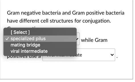 Gram Negative Bacteria And Gram Positive Bacteria Have