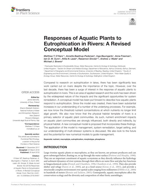 Pdf Responses Of Aquatic Plants To Eutrophication In Rivers A Revised Conceptual Model