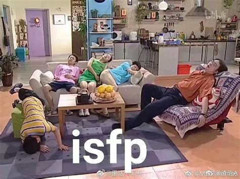 Isfp型人格为什么罕见？ 知乎