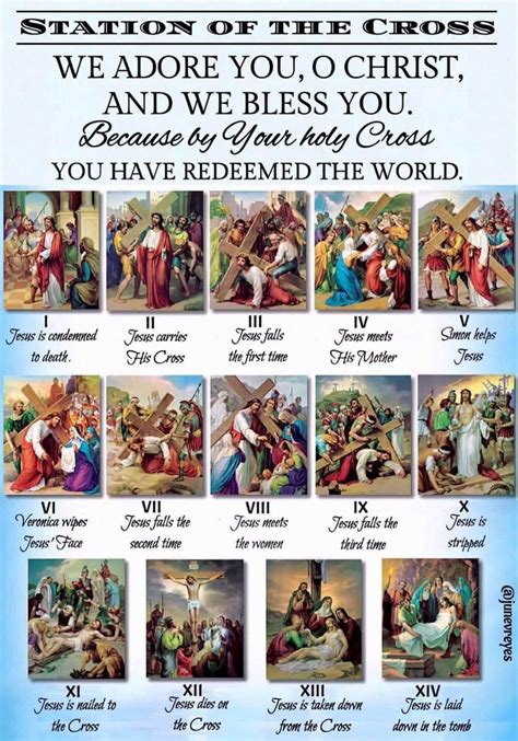 「اسبوع الام」おしゃれまとめの人気アイデア｜pinterest｜jojo Abdelmesih