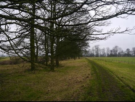 Battle of Myton