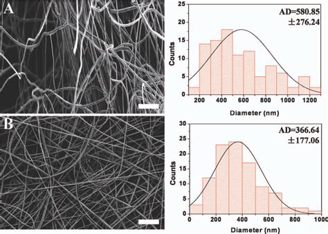 Figure 2 From Disc Electrospun Cellulose Acetate Butyrate Nanofibers Show Enhanced Cellular