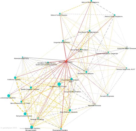 Disease Similarity Maps A Visual Resource For Researchers Genexplain