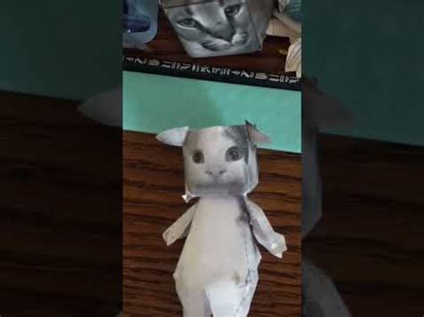 Аригатоооо Двойной Эль гато😼 - YouTube