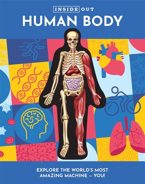 Inside Out Human Body By Luann Columbo Quarto At A Glance The