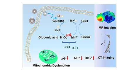 A Phgshglucose Responsive Nanozyme For Tumor Cascade Amplified
