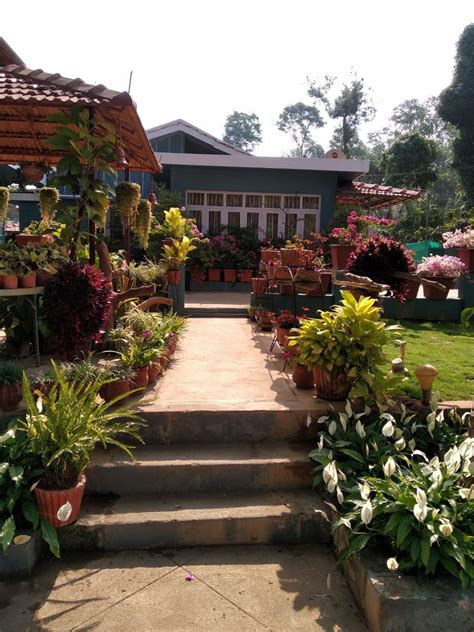 Landskap Halaman Rumah Kampung Yang Cantik Halaman Rumah Kampung