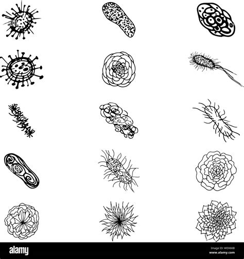 Outline Microbes Vector Set Isolated Black Simple Line Elements Collection From A Medical