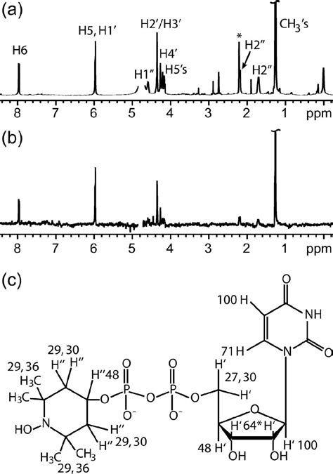 Figure 1 From Nmr Structural Characterization Of Substrates Bound To N
