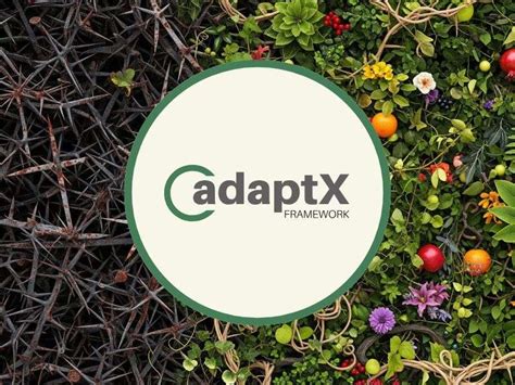 Adaptx Framework For Organizational Design And Adaptability