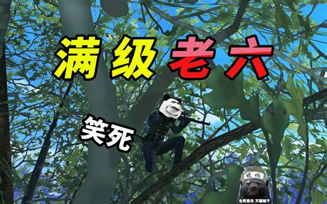 论老六到底能有多吓人 突击手蜜獾 突击手蜜獾 哔哩哔哩视频