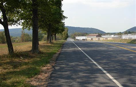 Tree Hazards Tree Hazards