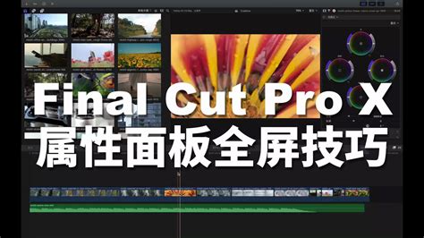 一分钟学剪辑之属性面板的全屏化技巧哔哩哔哩bilibili