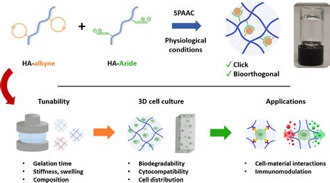 Figure 1 From Click And Bioorthogonal Hyaluronic Acid Hydrogels As An Ultra Tunable Platform For