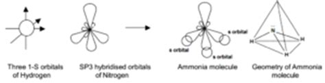 Formation Of Ammonia Molecule Archives The Fact Factor