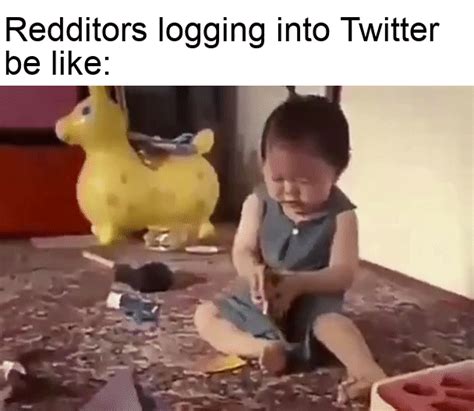 Unbearable Rmemes